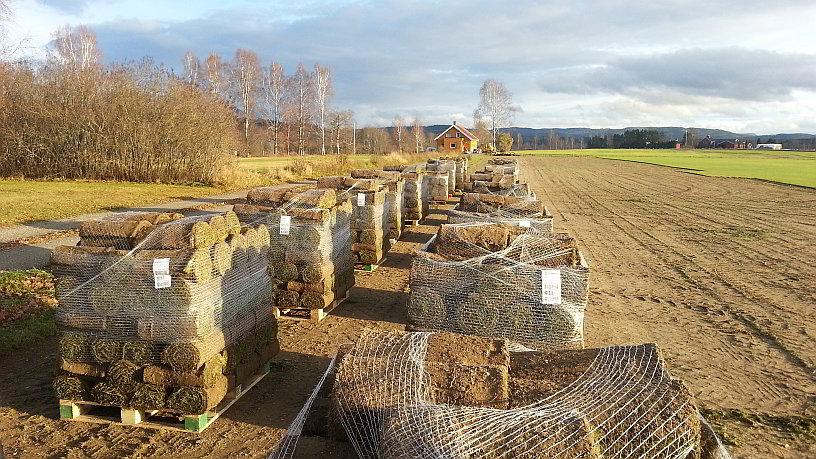 Paletten Sicherungsnetz - Rondotex® Elastic | hoggmbh.de